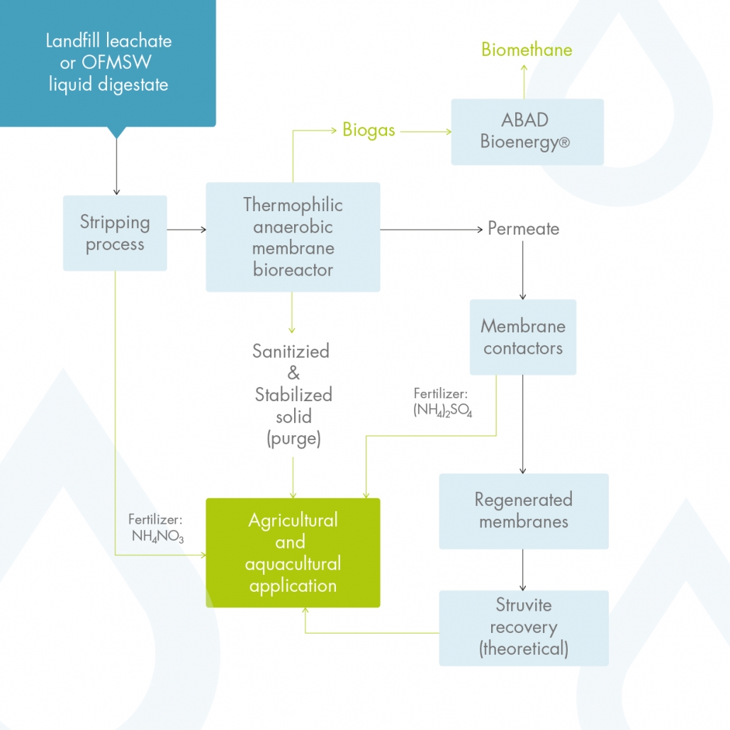 Technology - Infusion